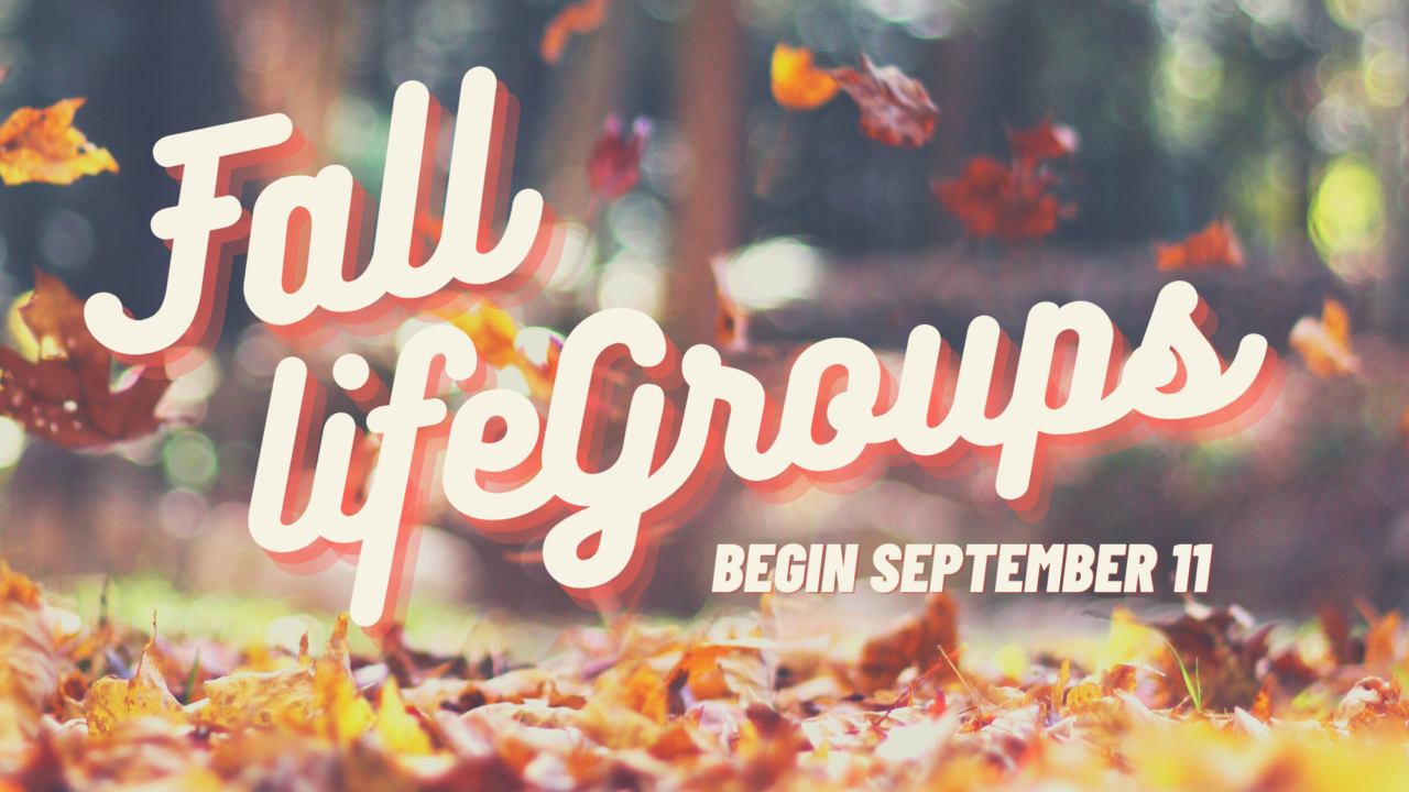 Life Groups | Living Stones Church
